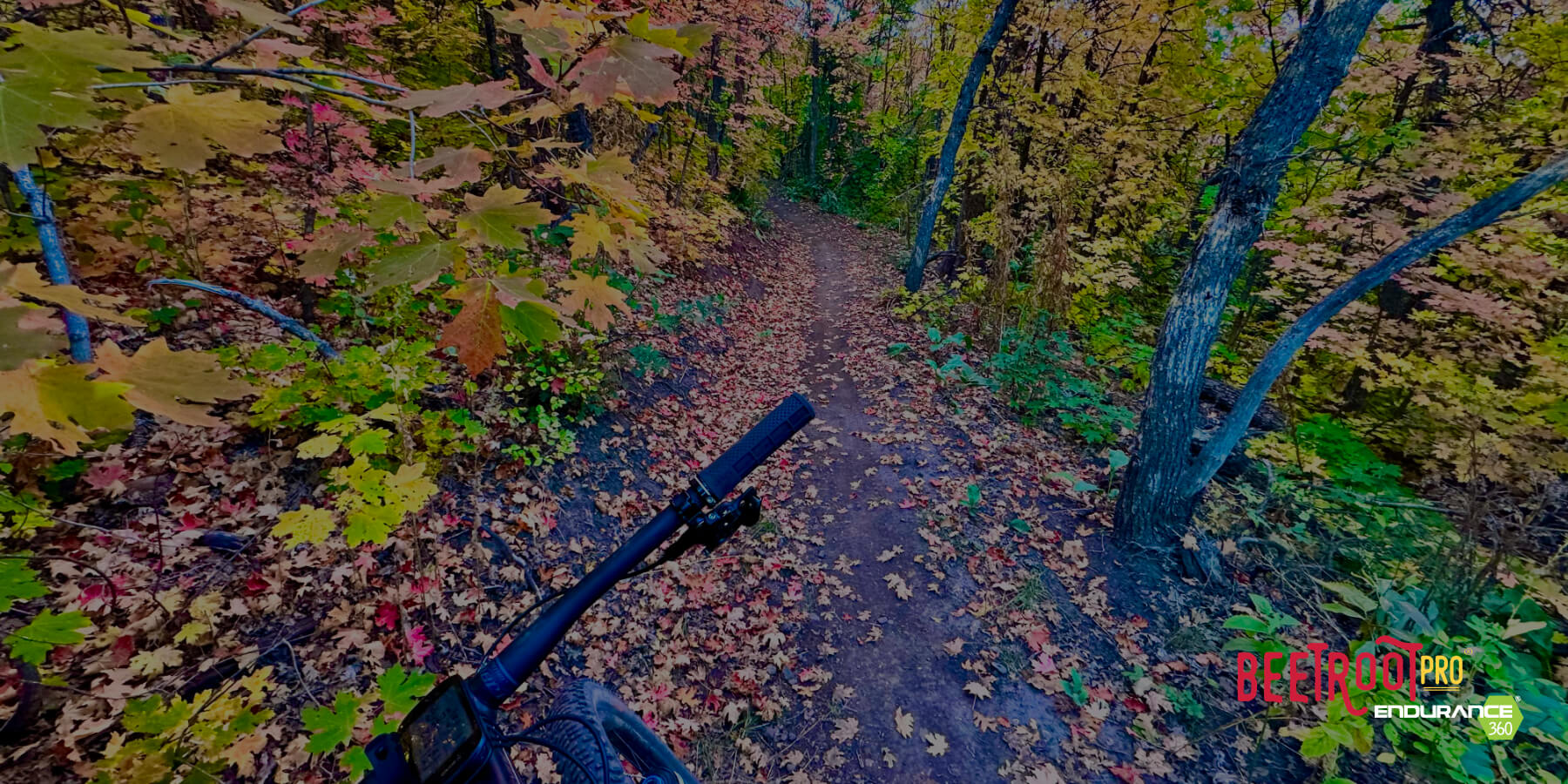 Beetroot Pro® and Endurance360® - Unlock Your Athletic Potential™